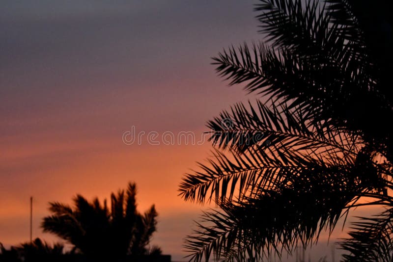 Sunset time in the desert stock image. Image of arabia - 125231137