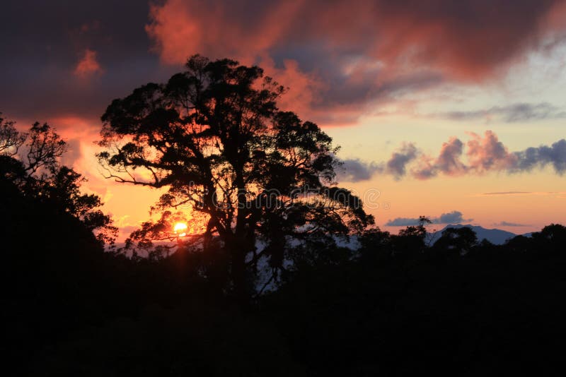 Sunset time twilight stock image. Image of sunny, africa - 92974313