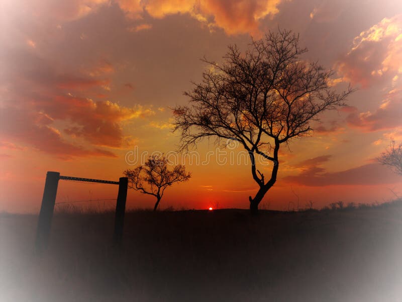 Bushfield Sunset Stock Photos - Free & Royalty-Free Stock Photos from ...