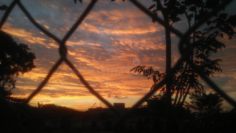 Sunset today stock image. Image of sunset, light, tree - 265390961