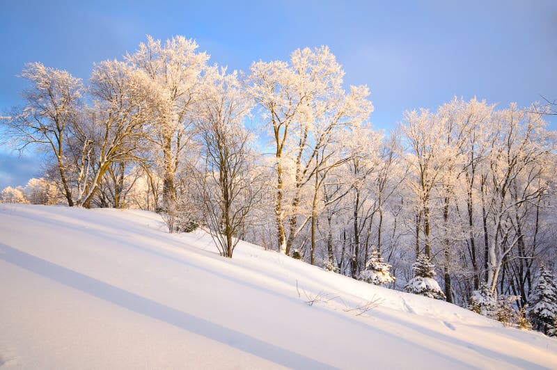 Sunset in Toila-Oru park. stock image. Image of urban - 12642381