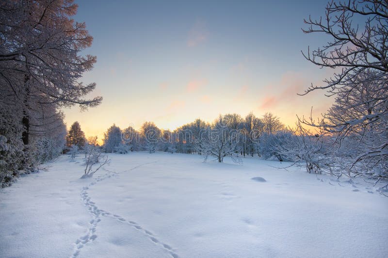 Sunset in Toila-Oru park. stock image. Image of urban - 12642381