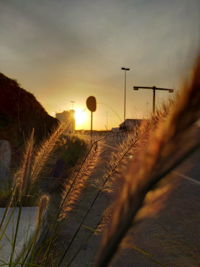 Sunset on the track stock photo. Image of rural, night - 137740720