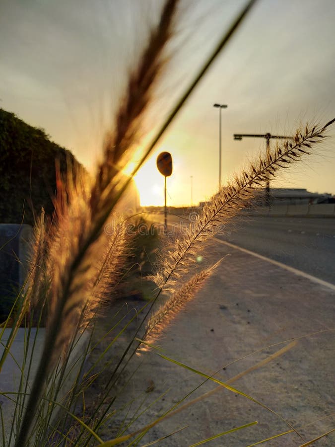 Sunset on the track stock photo. Image of sand, rural - 137740882