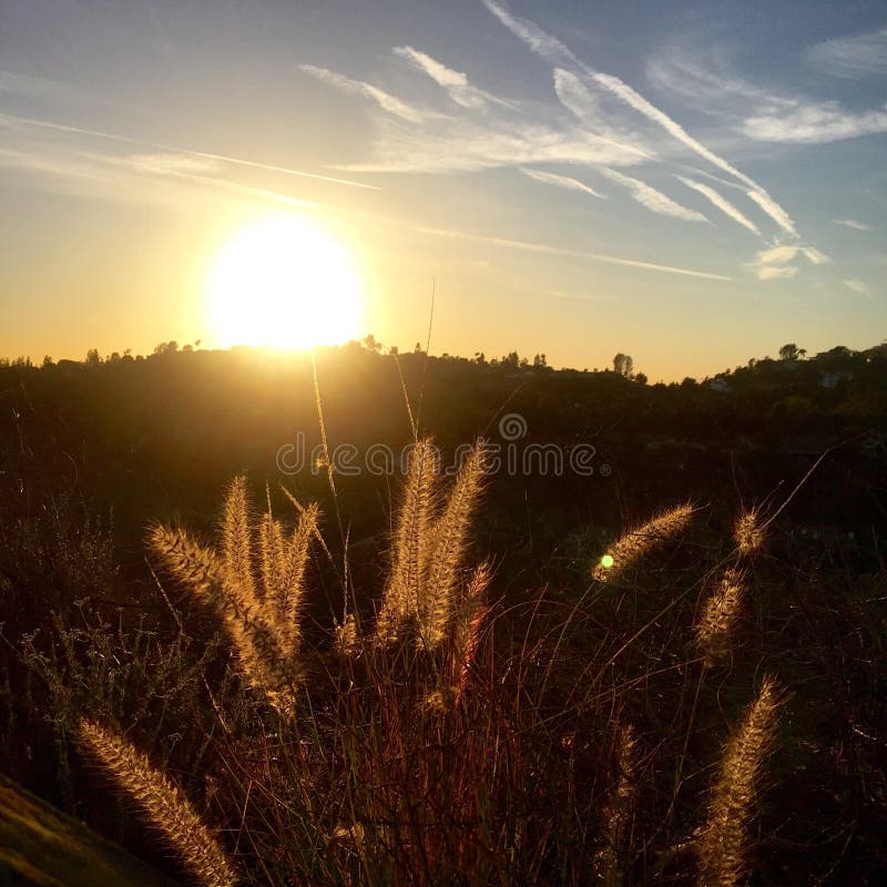 Sunset trail stock photo. Image of trail, horizon, sunset - 73756496