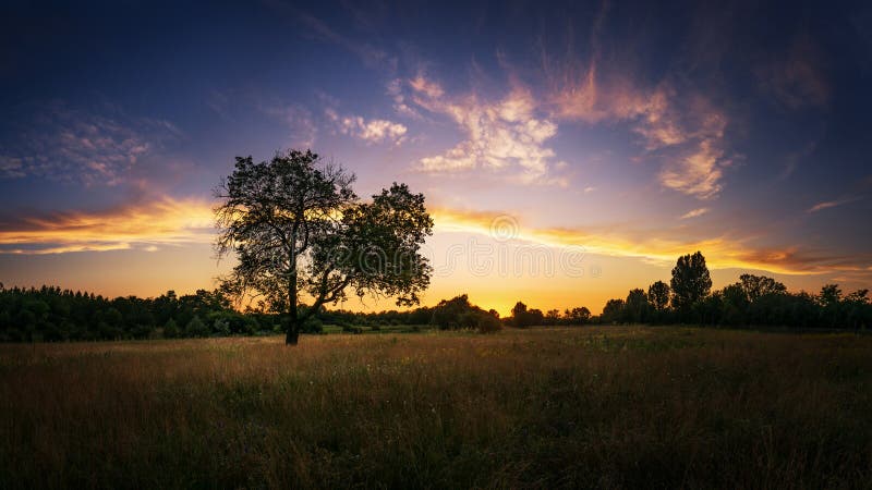 Sunset and tree scape stock photo. Image of hungary - 150840064