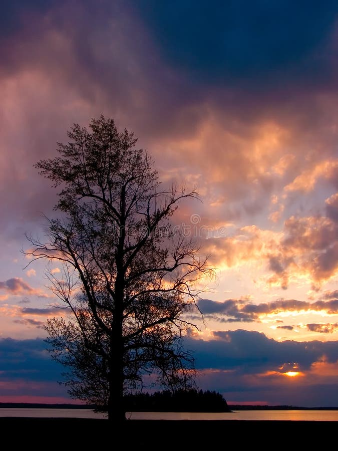 Psalm 23 stock image. Image of prayer, preacher, david - 1276981