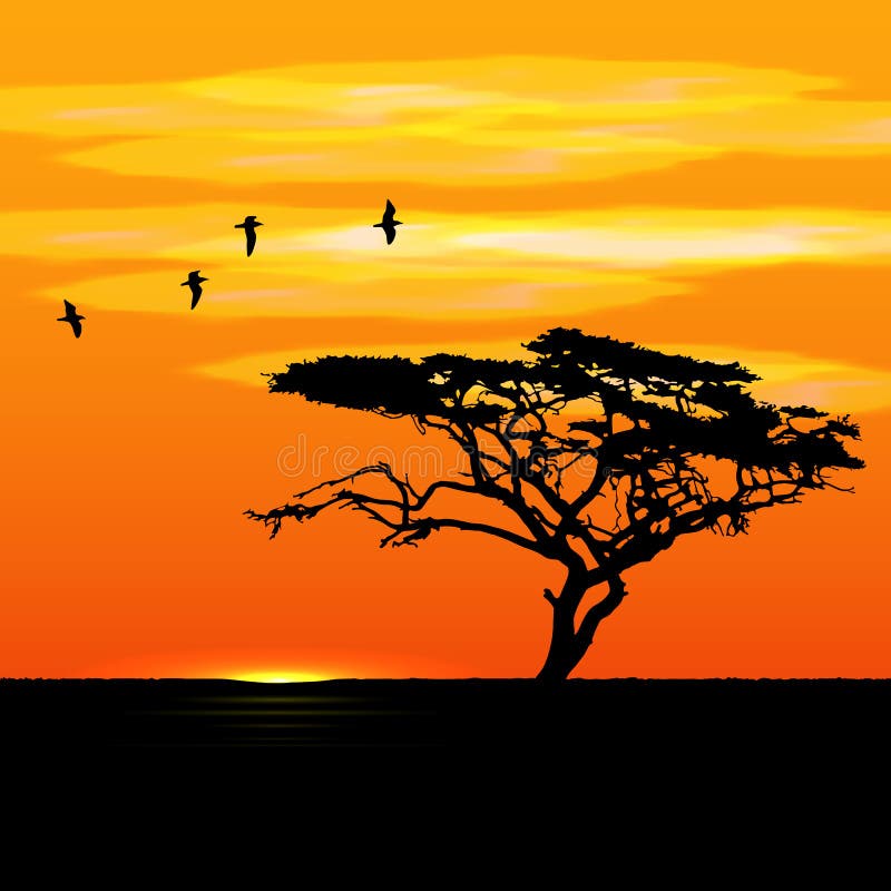 Sunset Tree and Birds Silhouettes Stock Vector - Illustration of ...