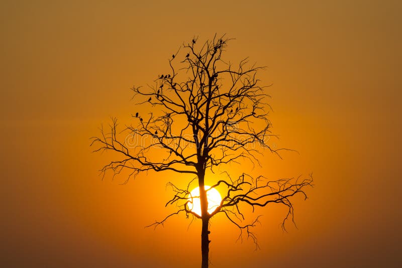 Sunset stock image. Image of evening, scenery, beauty - 37139729