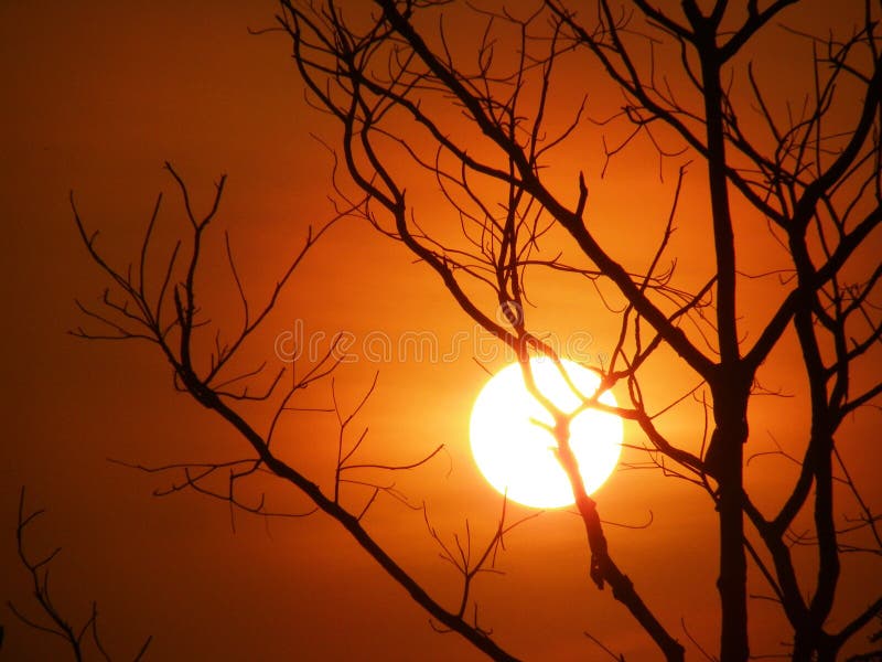 Sunset with Tree Branch at Evening Time Stock Photo - Image of dead ...