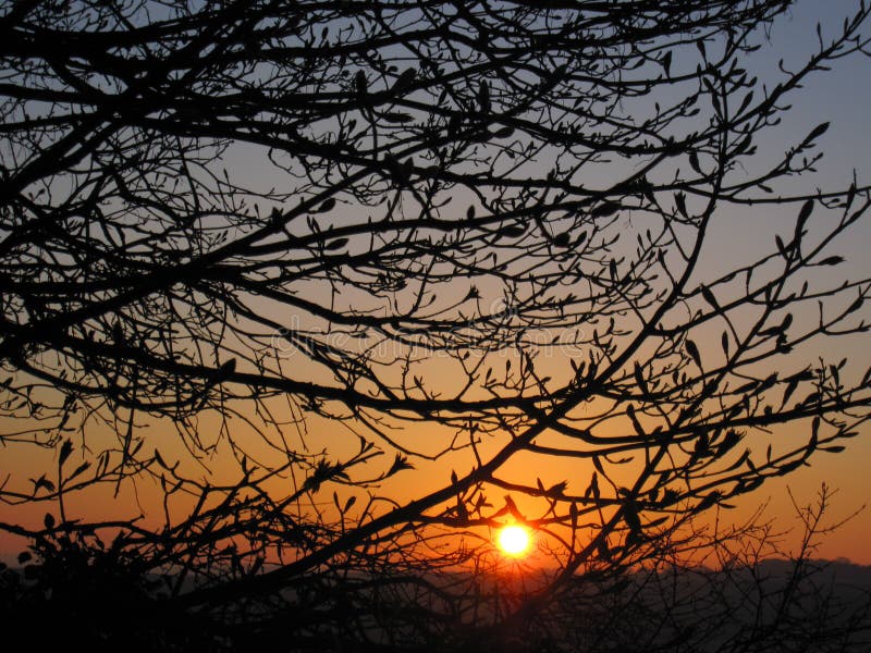 Red Sky at Night stock photo. Image of night, sunset - 153634748