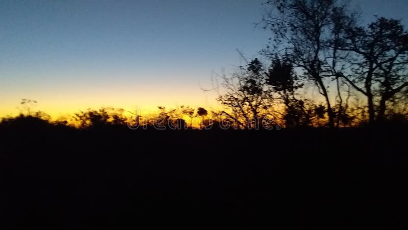 Sunset Tree Bushveld Peace Leaves Stock Photo - Image of tree, bushveld ...