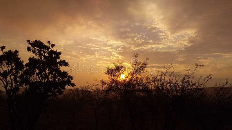 Sunset Tree Clowds Bushveld Beauty Stock Photo - Image of beauty, tree ...