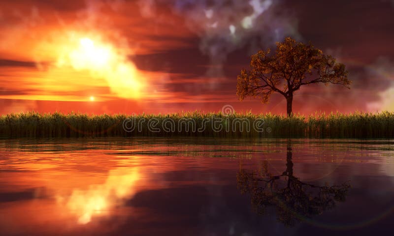 Sunset and tree stock illustration. Illustration of lonely - 58850341