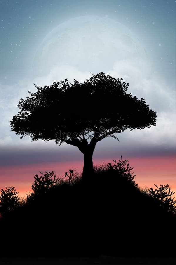 59,862 Sunset Moon Stock Photos - Free & Royalty-Free Stock Photos from ...