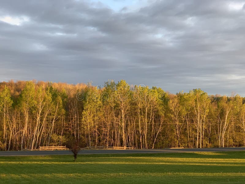 Sunset with Tree Line Fencing and Clouds Stock Image - Image of field ...