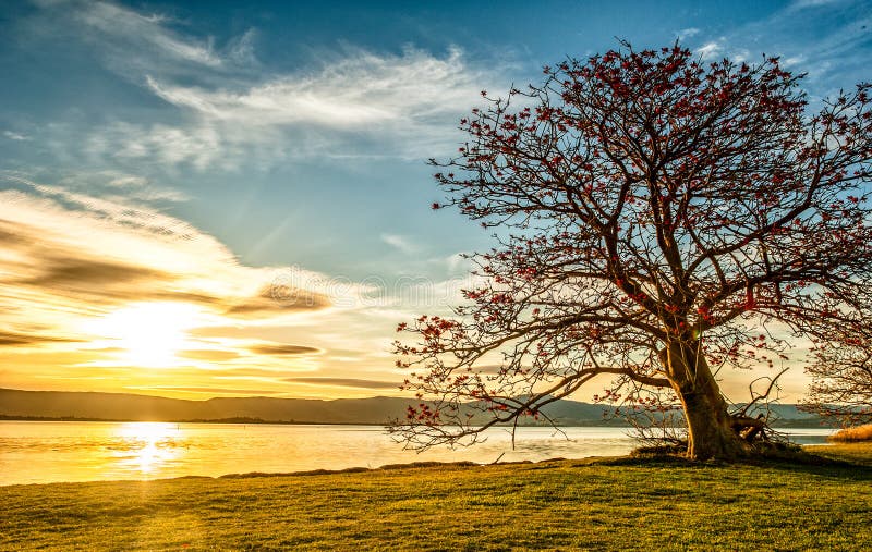 Sunset stock image. Image of sunset, clouds, australia - 57423535
