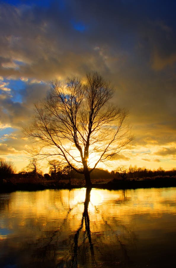Sunset Tree Reflection on River Stock Photo - Image of river, sunset ...