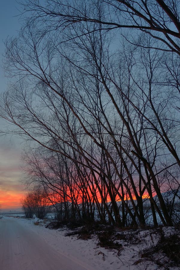 Sunset with tree shadow stock photo. Image of sunset - 83828744