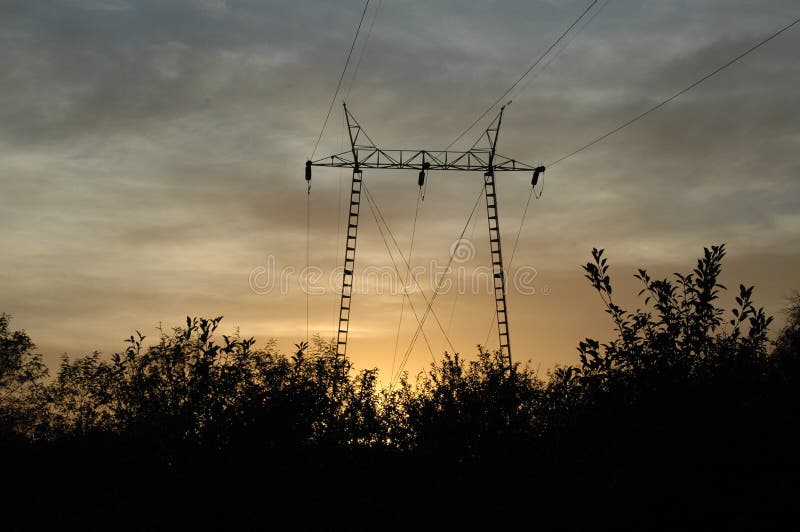 Sunset between the Tree Trunks and the Electric Pillar Stock Image ...