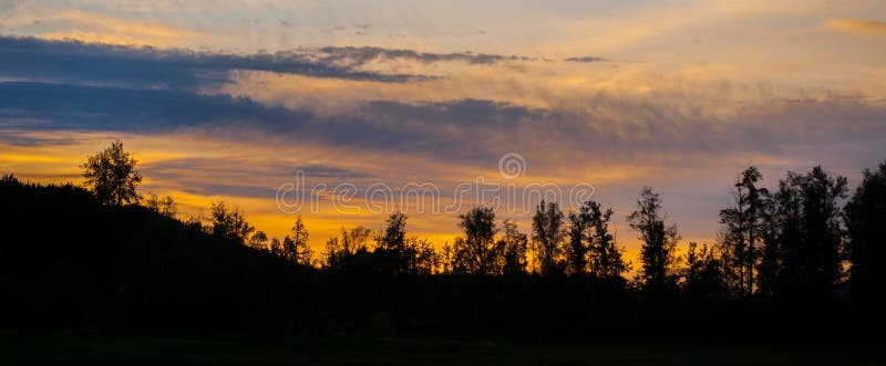 Sunset Treeline & Silhouette Stock Image - Image of panorama, evening ...