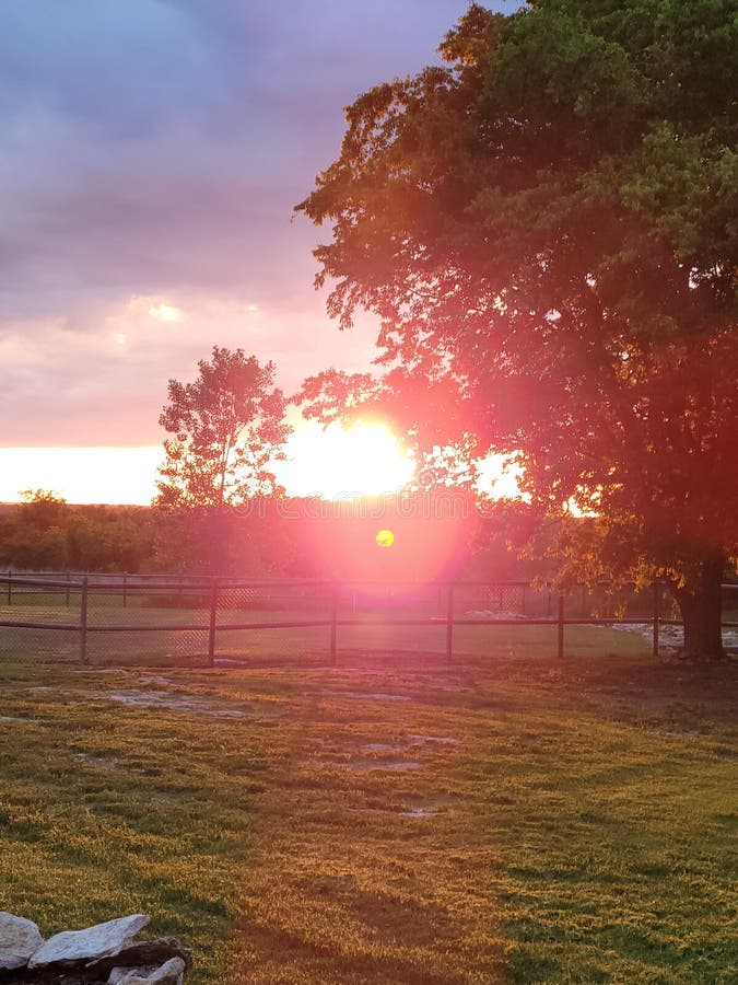 Sunset through trees stock photo. Image of sunlight - 248297338