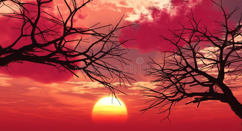 Sunset Trees Picture. Image: 5716747