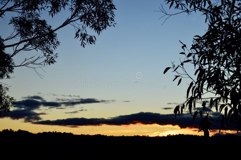 Sunset through the Trees in the Blue Mountains Stock Image - Image of ...