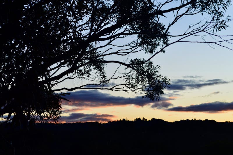 Sunset through the Trees in the Blue Mountains Stock Photo - Image of ...