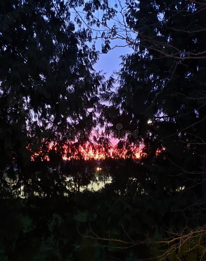 Sunset trees stock image. Image of blue, sunset, trees - 153052273