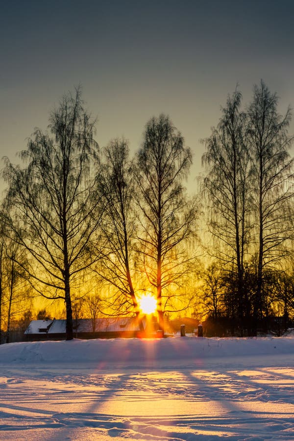 Sunset in a Cold Winter Day Stock Photo - Image of field, background ...