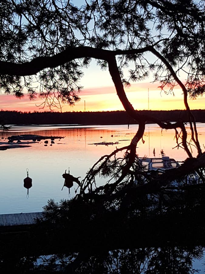 Sunset and Trees are a Good Combination Stock Photo - Image of sunset ...