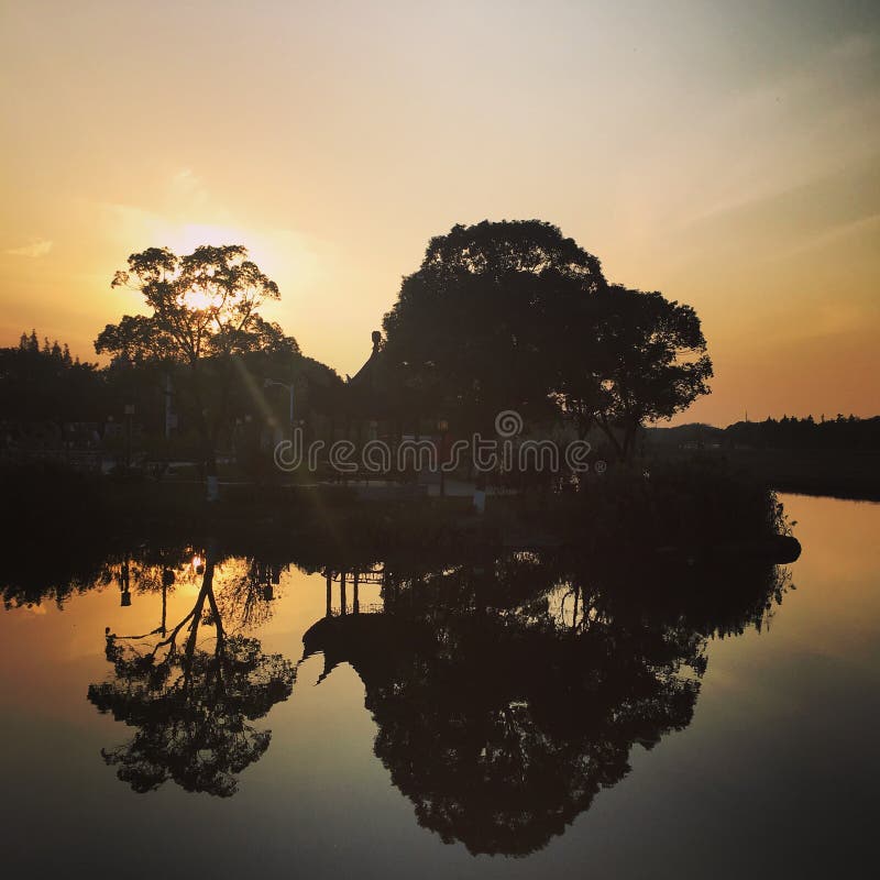 Sunset and trees stock photo. Image of sunset, beautiful - 135046020