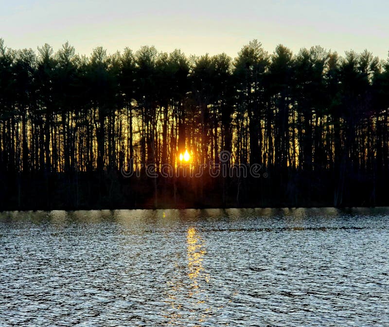Sunset through the Trees at the Lake Stock Image - Image of trees ...