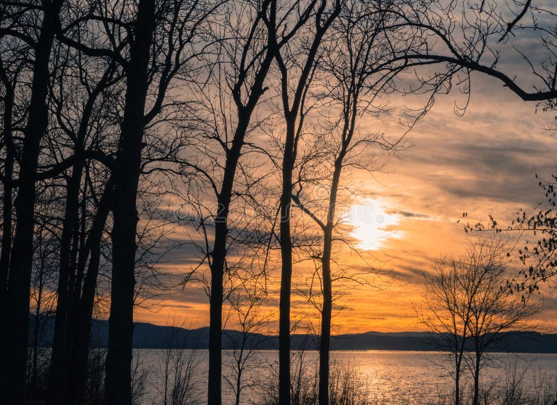 Sunset through Trees on Lake Stock Image - Image of mountains ...