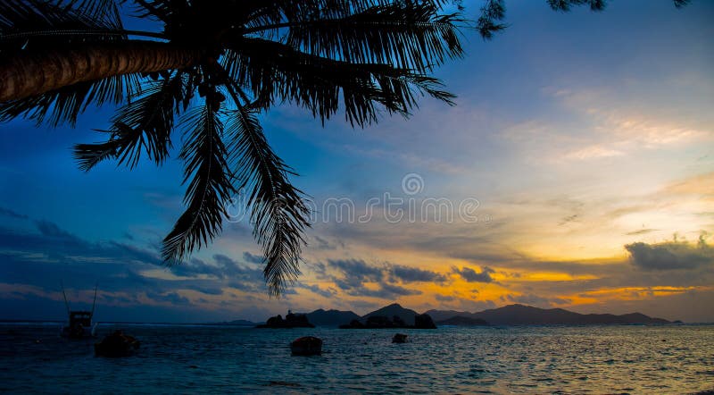 Sunset in a Tropical Island with Palm Trees Stock Image - Image of ...