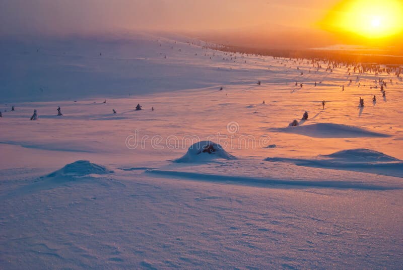 Sunset in the tundra stock photo. Image of north, winter - 37284698