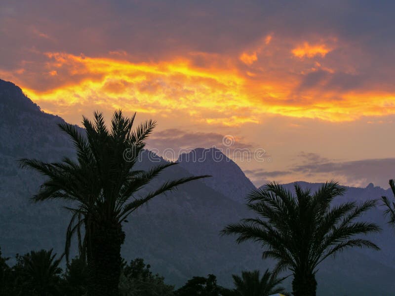 Sunset in Turkey stock image. Image of tree, palm, mountain - 70094129