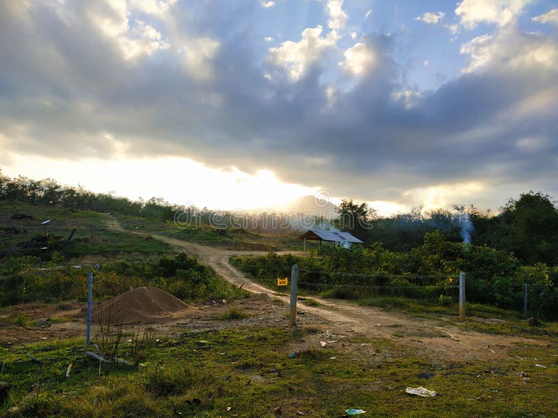 Sunset Twilight Environment Stock Photo - Image of grass, tree: 186725732
