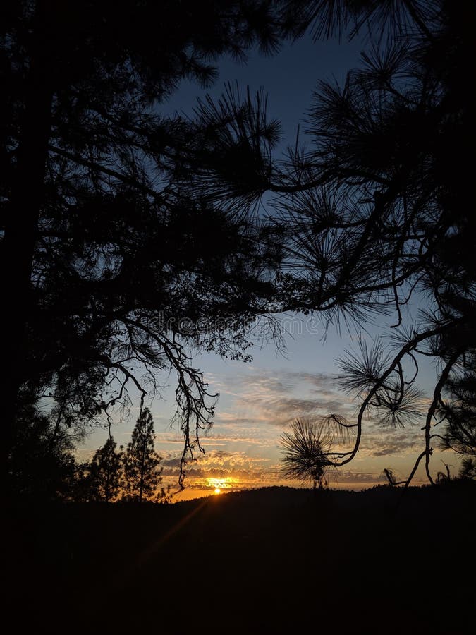 Sunset Twilight Glow through the Trees Stock Photo - Image of dark ...