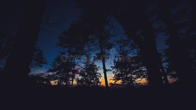 Sunset and Twilight Light in the Forest on the Mountain Stock Image ...