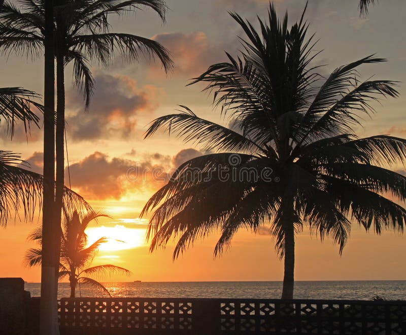 Sunset with Two Palms at the Beach Stock Image - Image of sunset ...
