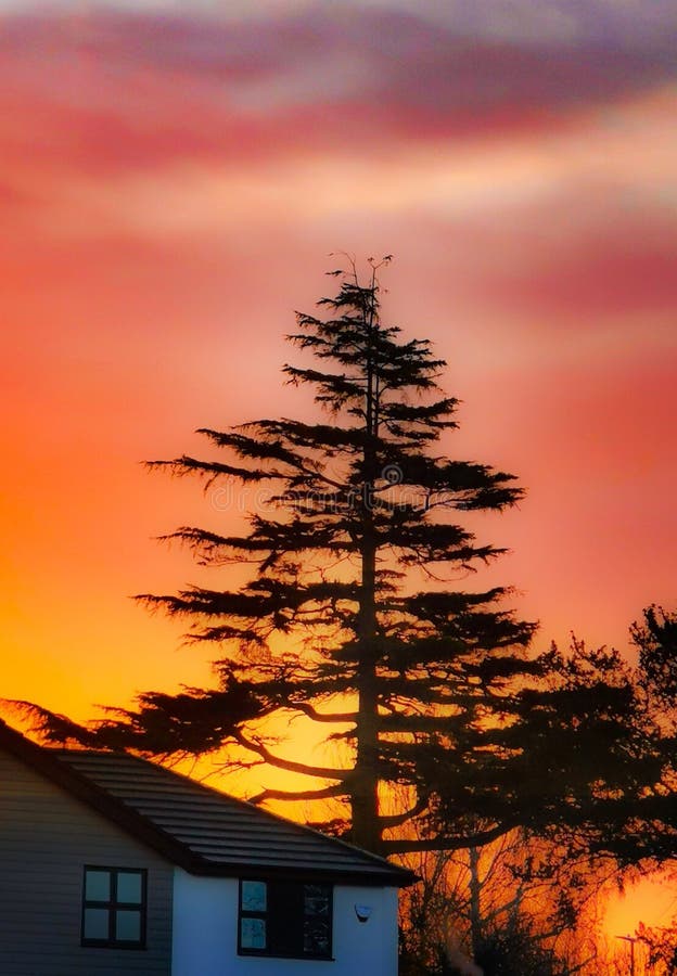 Sunset UK England London stock image. Image of morning - 206007689