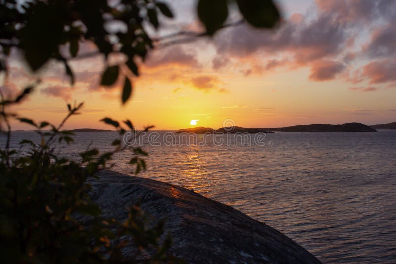 Sunset Under Tropical Palm Tree Stock Image - Image of destination ...