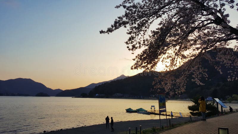 The Sunset is Very Beautiful and Nice Shadows on the Lake Stock Image ...