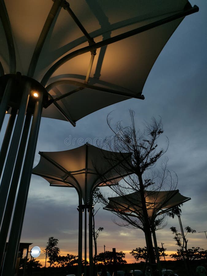 Sunset stock photo. Image of mind, view, soothing, sight - 266966236