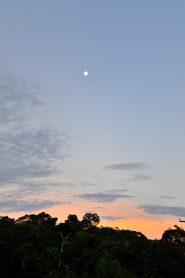 A Sunset View of the Amazon Stock Image - Image of blue, silhouette ...