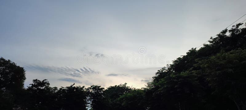 Sunset View Behind Tree Branches Stock Photo - Image of branches, tree ...