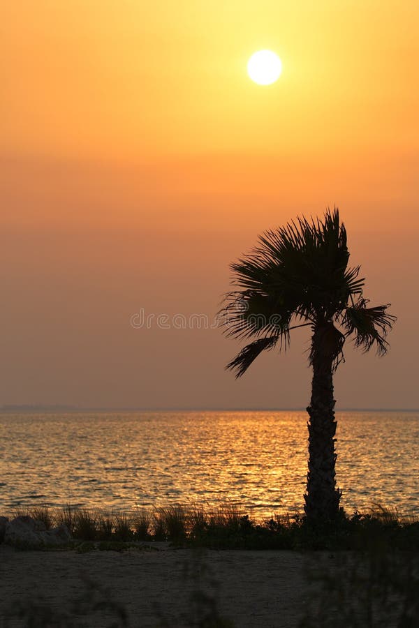 Sunset View on Calm Beach in Abu Dhabi Stock Image - Image of beach ...