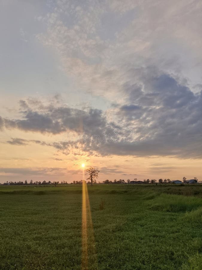 Sunset View from the Corner of a Rice Field in a Beautiful Countryside ...